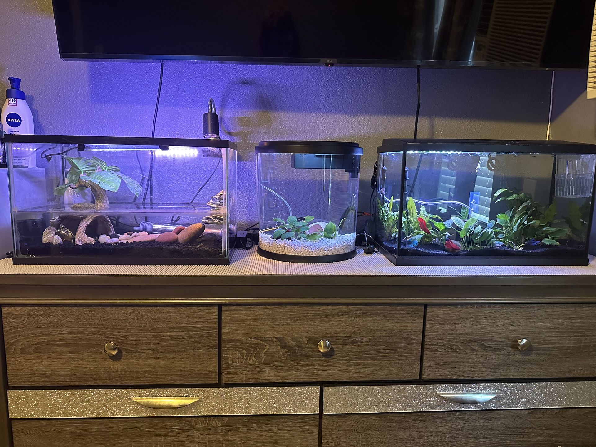 3G Half Moon Fish Tank for Sale in Las Vegas, NV - OfferUp