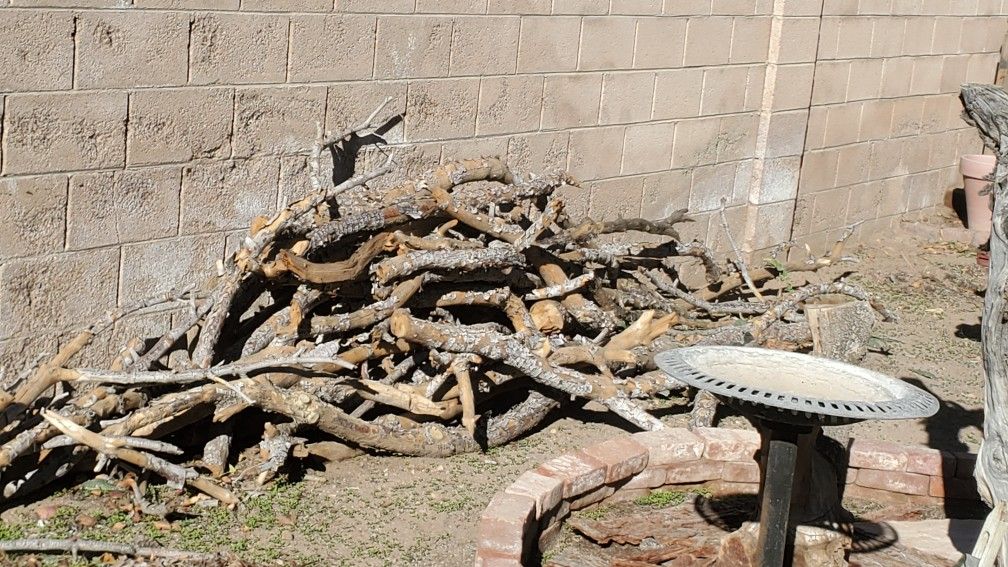 Fresh Cut Wood Free for Sale in Las Vegas, NV - OfferUp