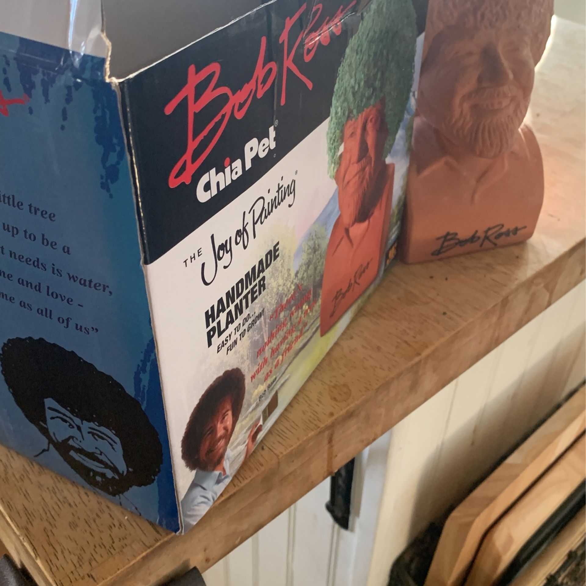 Bob Ross Chia Pet Head for Sale in Camarillo, CA - OfferUp