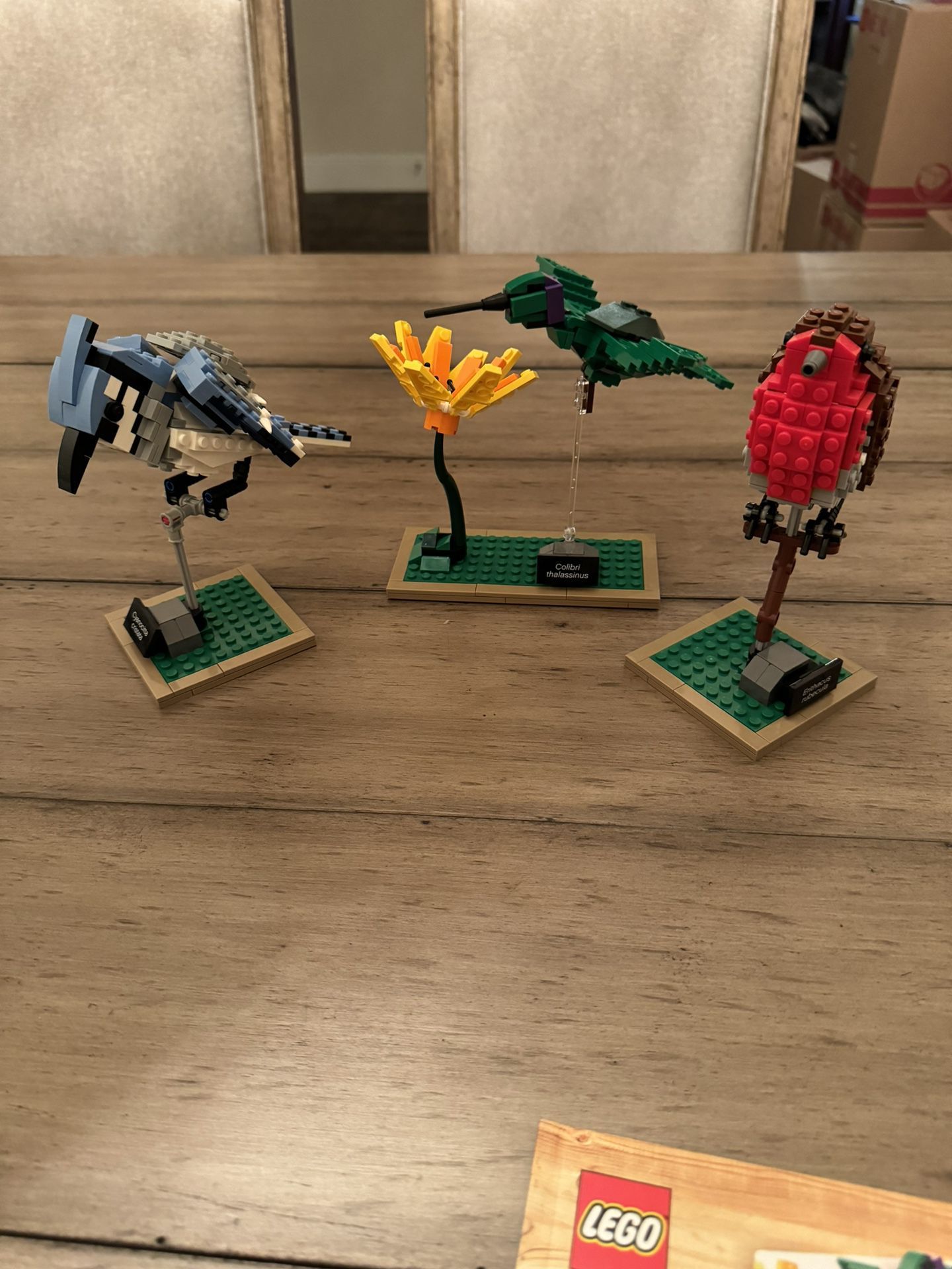 Lego Creator Birds for Sale in Lucas, TX - OfferUp