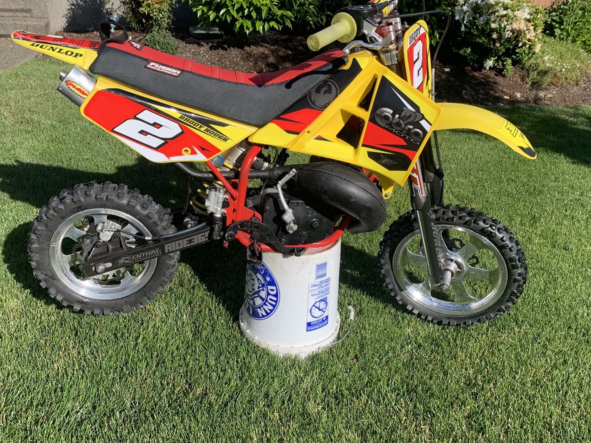 King Cobra 50cc