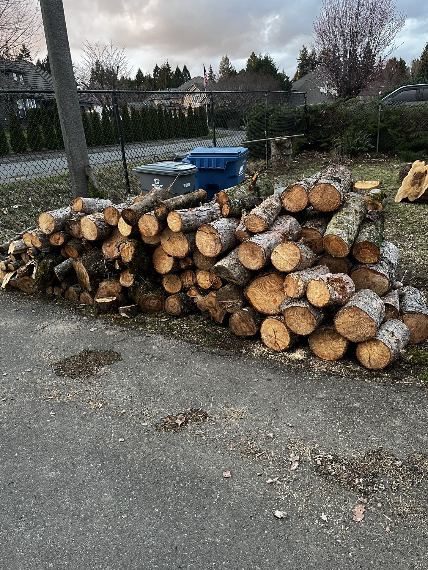 Free Wood From Douglas Fir And Lark Pine Trees for Sale in Kent, WA ...