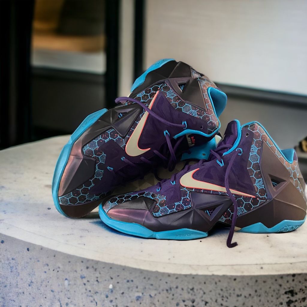Lebron 10 Hornets
