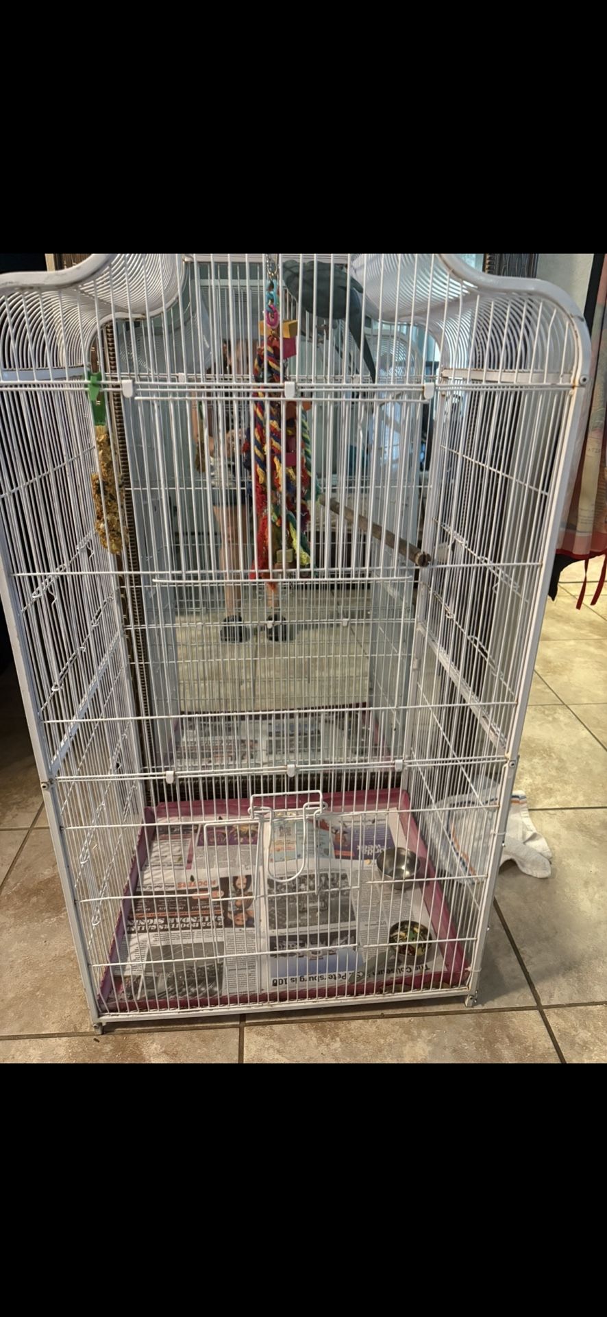 Bird Cage for Sale in Tampa, FL - OfferUp