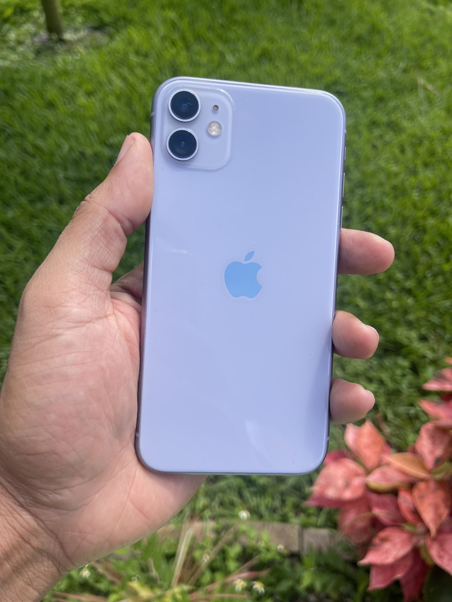 UNLOCKED IPHONE 11 / READY TO USE for Sale in Oakland Park, FL - OfferUp