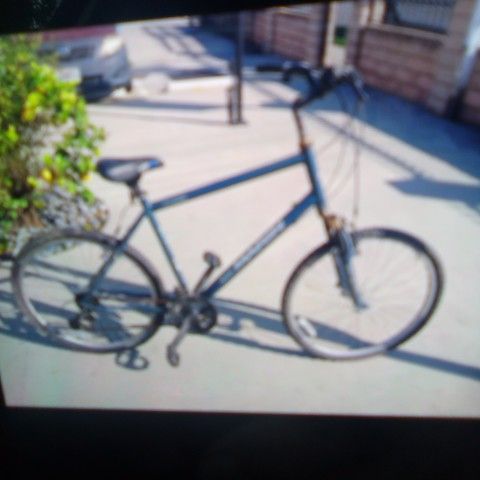 Men's Marin Stinson Mountain Bike for Sale in Lakewood, CA - OfferUp