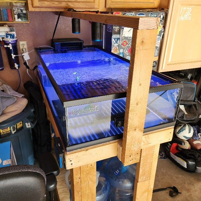 Frag Tank for Sale in Glendale, AZ - OfferUp