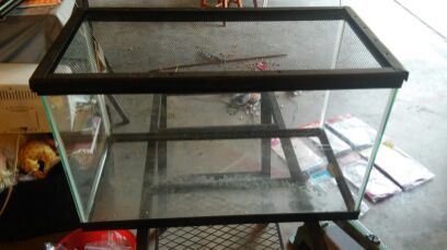 Glass Gerbil Cages
