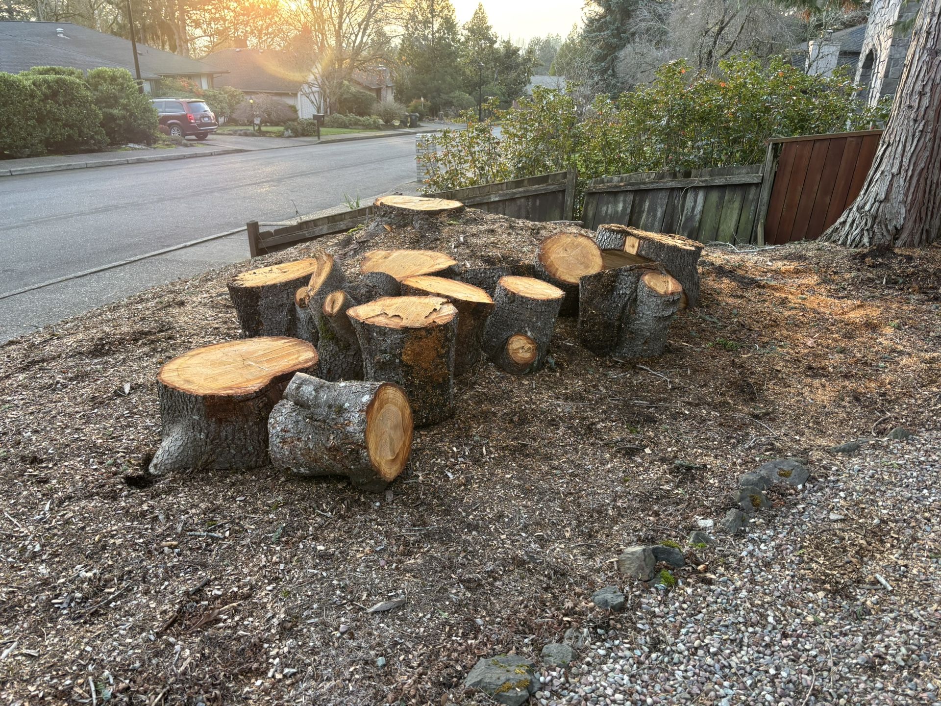 Free Firewood Rounds for Sale in Portland, OR - OfferUp