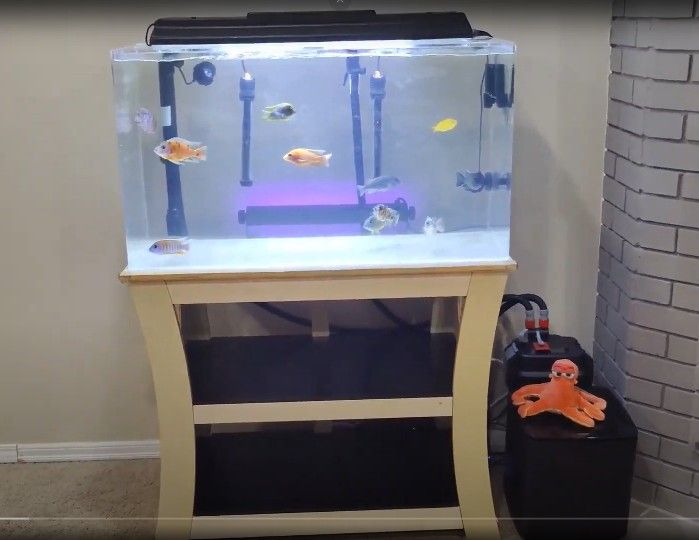 Seaclear 50 Gallon Acrylic Aquarium Tank, Stand, Lights & Filter for ...