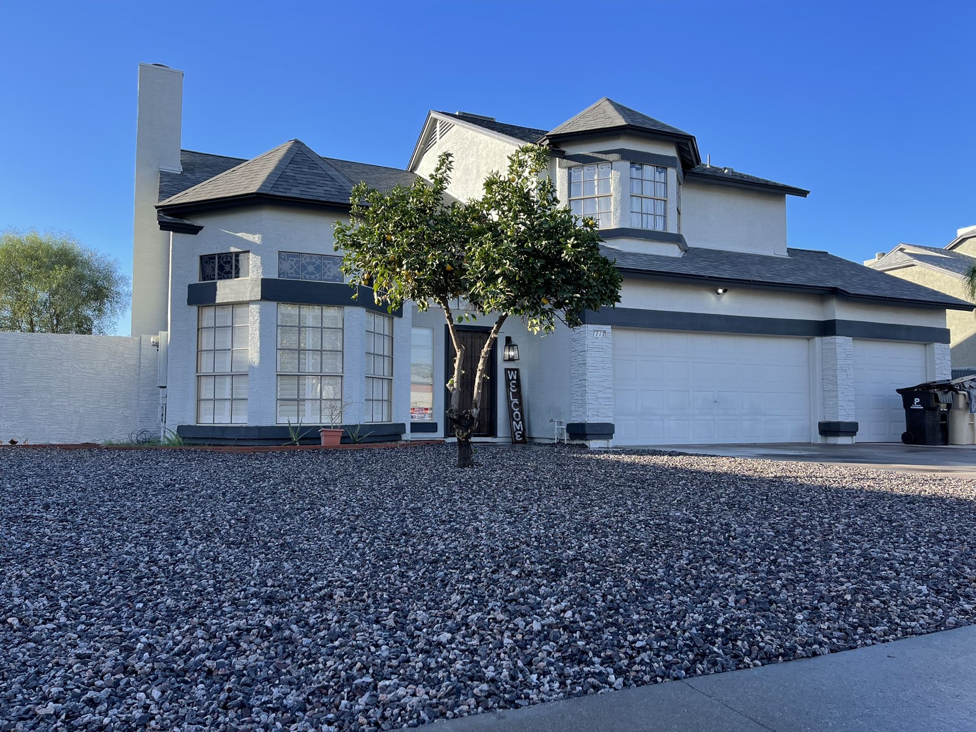 DECORATIVE GARDEN LANDSCAPE GRANITE SLATE YARD GRAVEL GRAVA GRABA ...