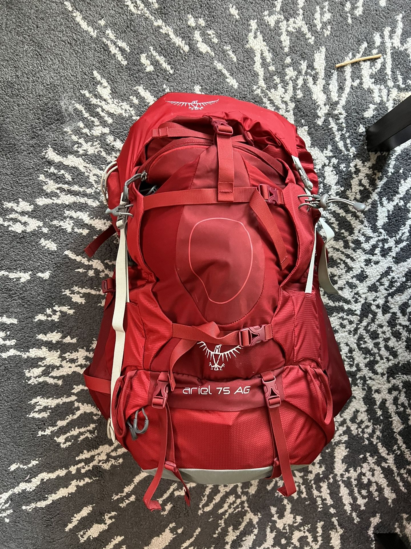 Osprey Ariel 75 Backpack for Sale in Santa Clarita, CA - OfferUp