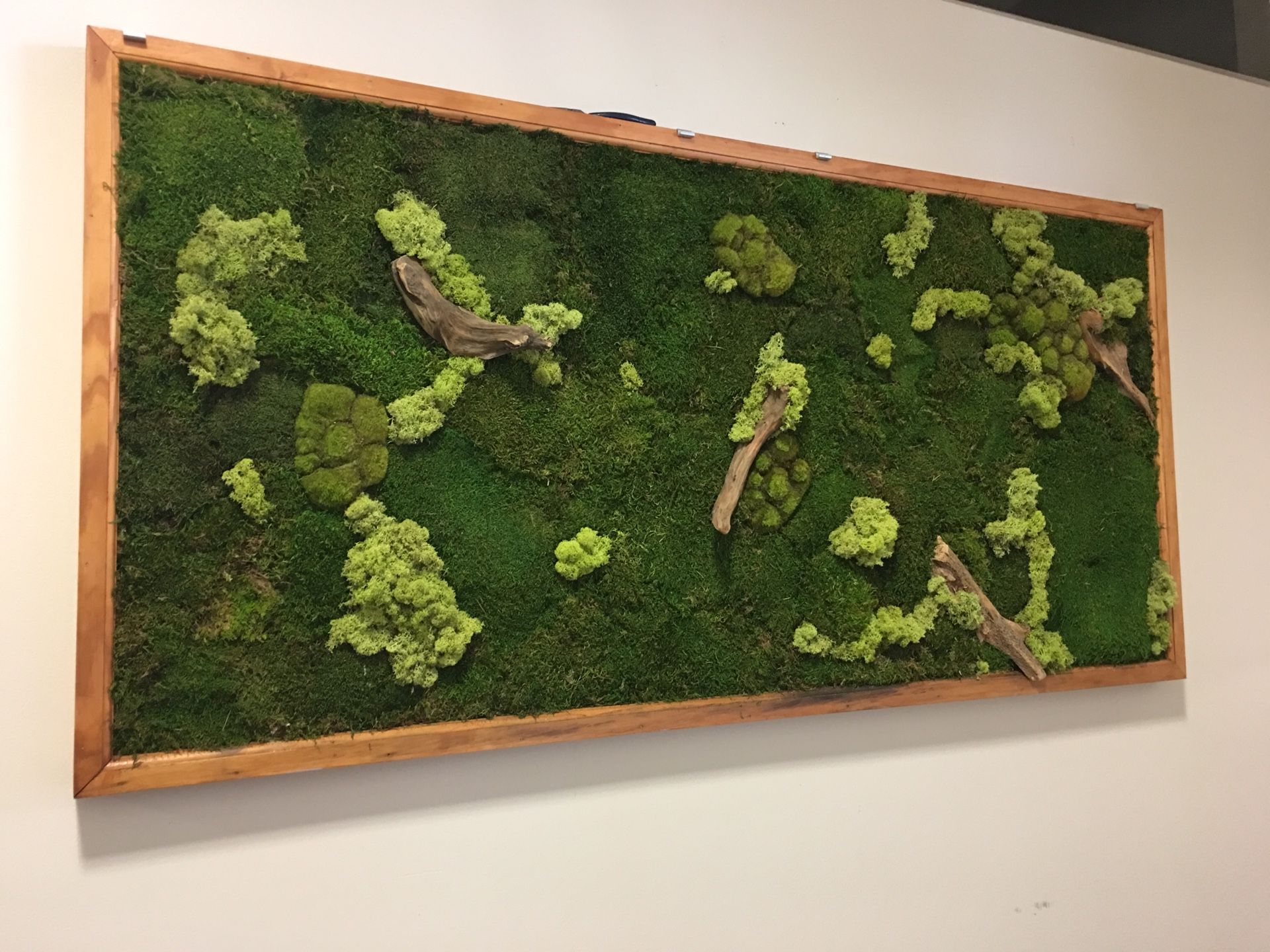 Preserved Moss Framed Wall Art 34"x72" for Sale in Pembroke Pines, FL ...