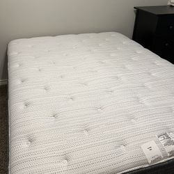 Costco Beautyrest Silver BRS900 Medium Queen Mattress for Sale in Houston TX OfferUp