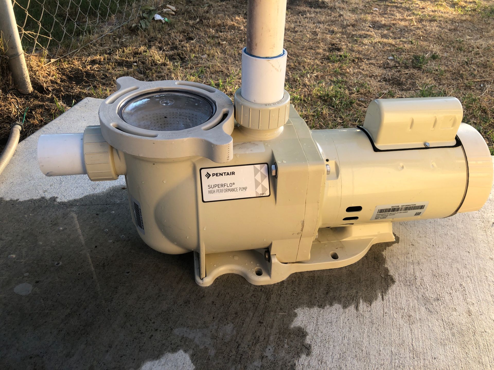 Pentair superflo pool pump for Sale in Bakersfield, CA - OfferUp