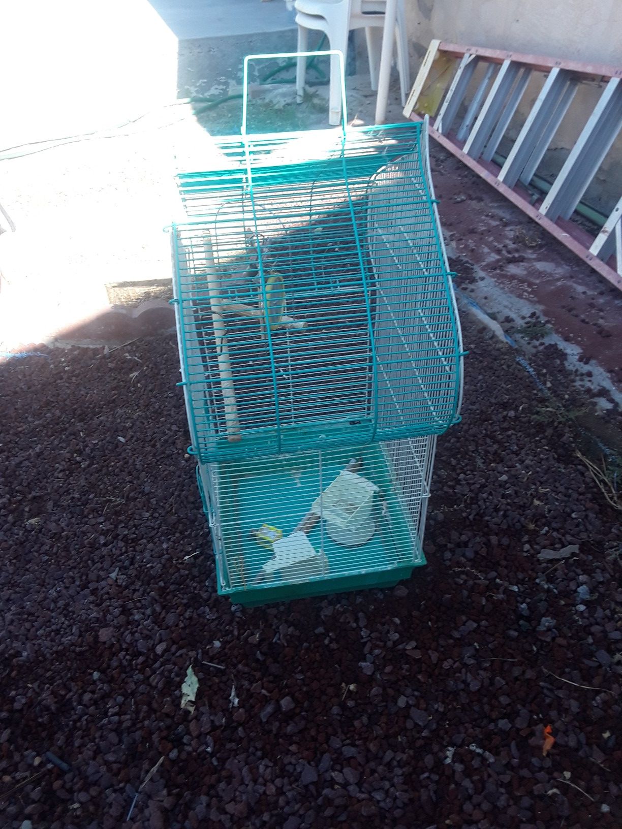 Bird cage for Sale in Albuquerque, NM - OfferUp