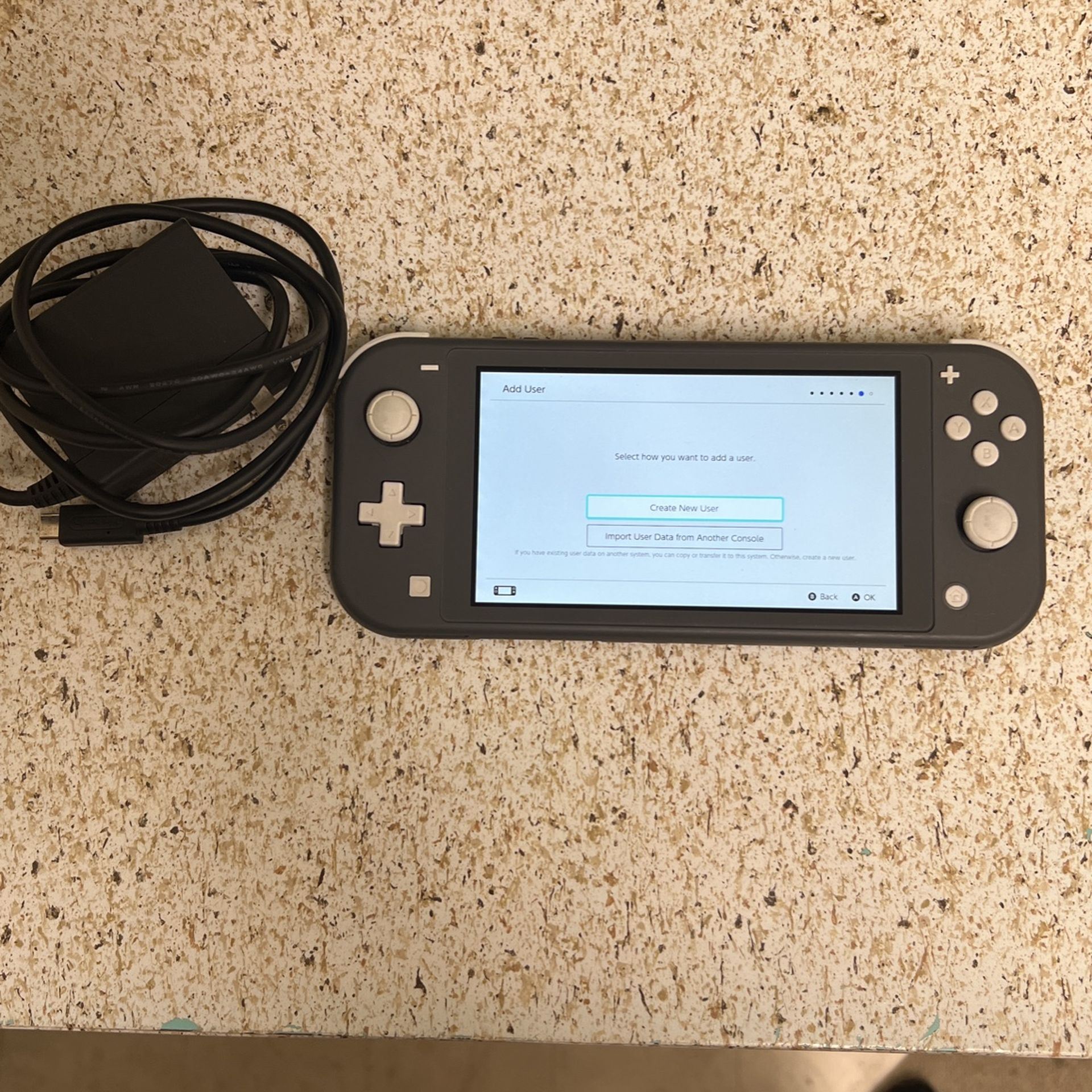 Nintendo Switch Lite Grey W/ Charger for Sale in Fullerton, CA - OfferUp