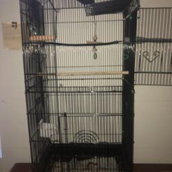 Flying Squirrel Cage Setup
