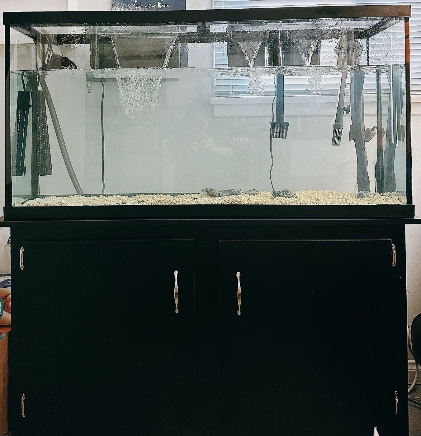 75 Gallons Fish tank Complete Setups for Sale in Long Beach, CA - OfferUp