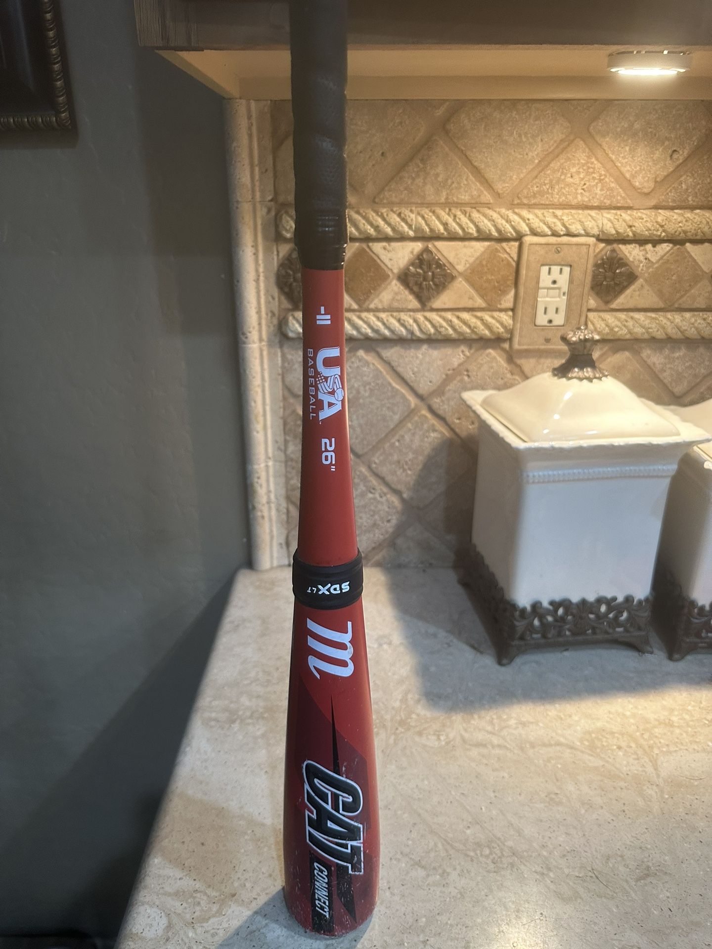 Baseball Bat for Sale in Eleven Mile, AZ - OfferUp
