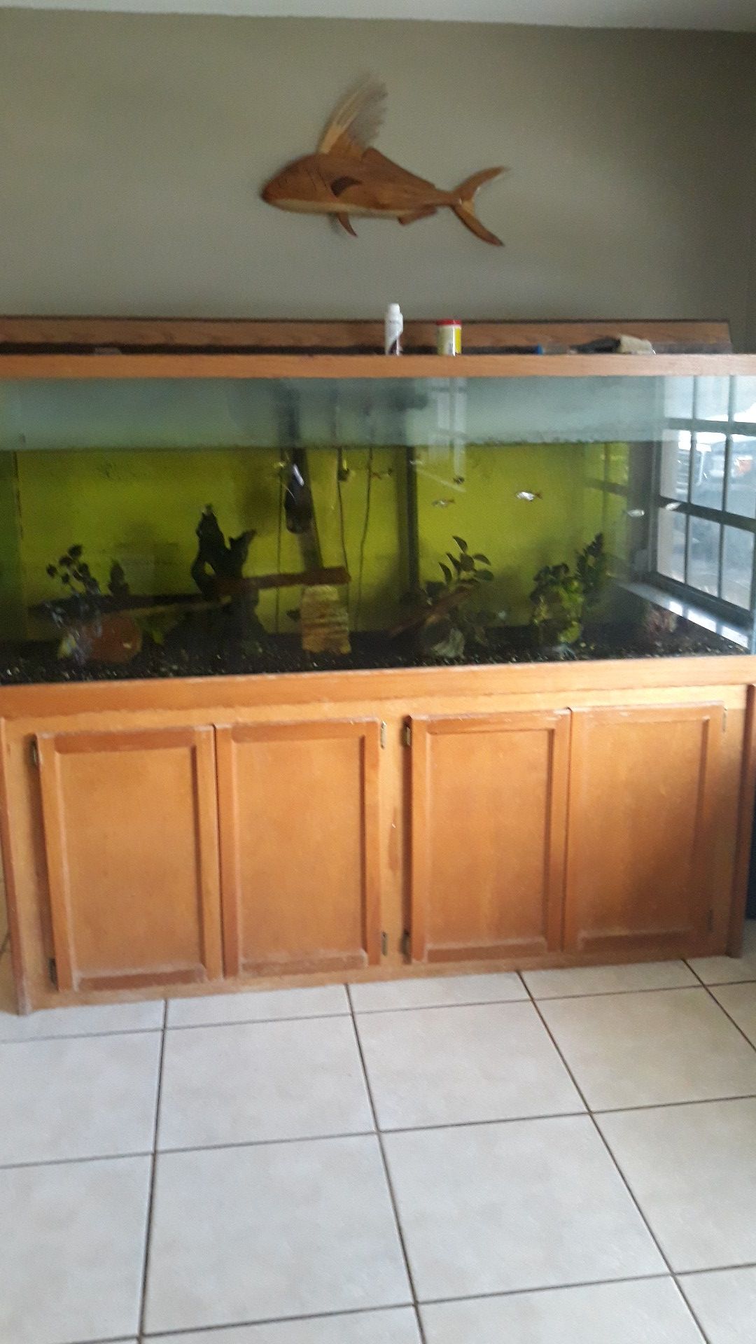 220 gallon fish tank for Sale in Oakland Park, FL - OfferUp
