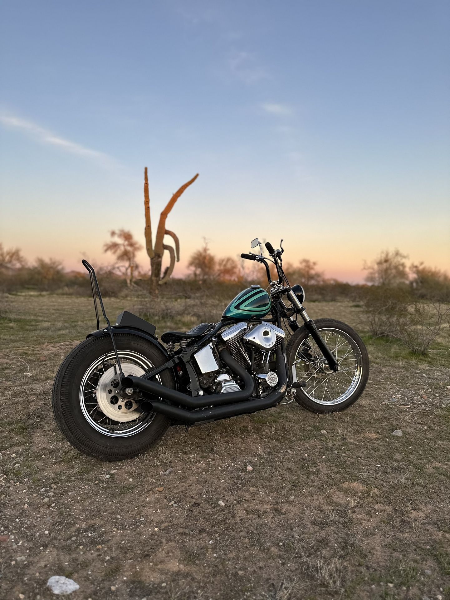 1989 Harley Davidson Softail for Sale in Mesa, AZ - OfferUp