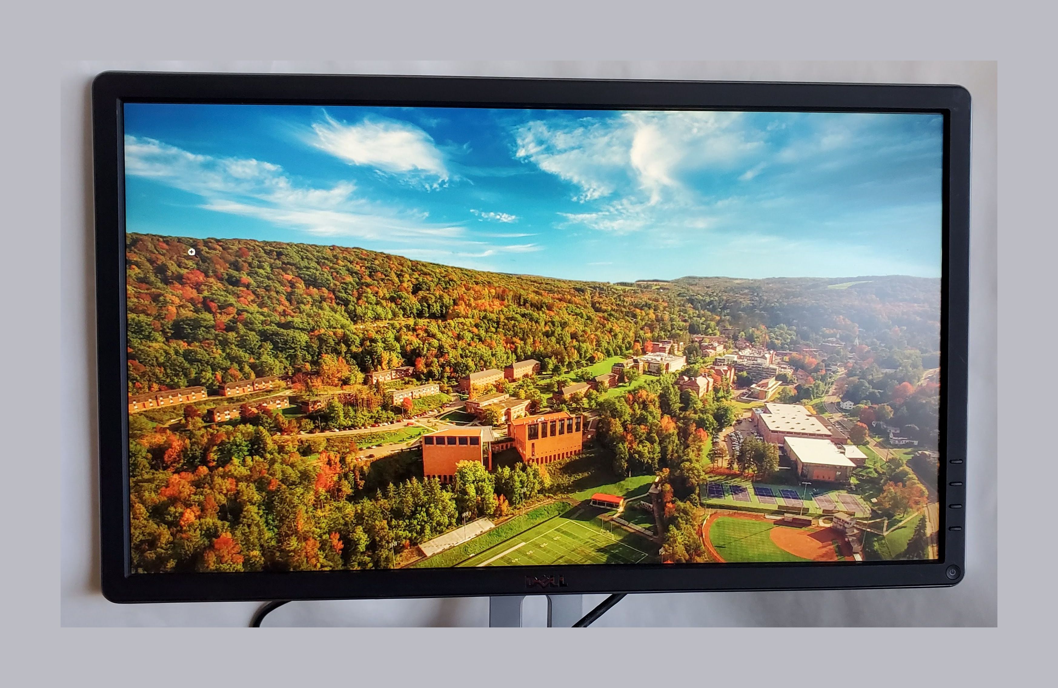 Dell P2414Hb 24" Monitor. Works Great. VGA, DisplayPort, and DVI Comes ...