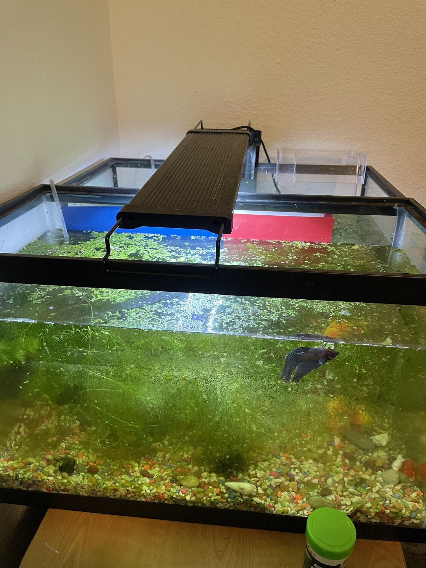 Multiple Fish Tanks And Accessories for Sale in Tucson, AZ - OfferUp