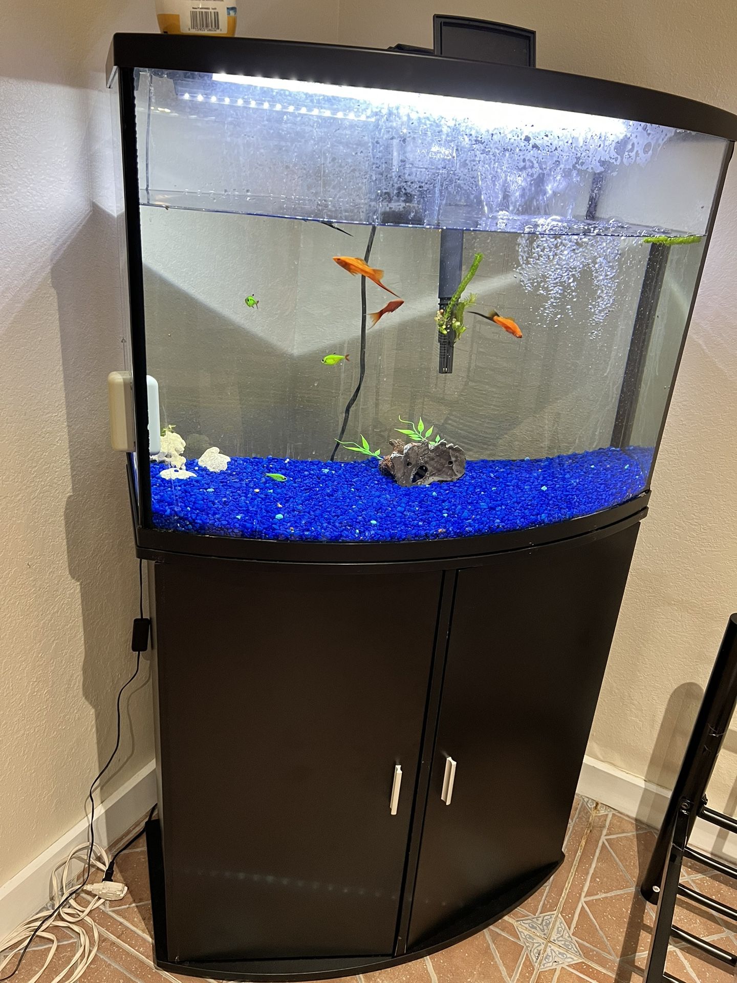Fish tank With Stand 40 Gallon and 100 Gallon Filter for Sale in Miami ...