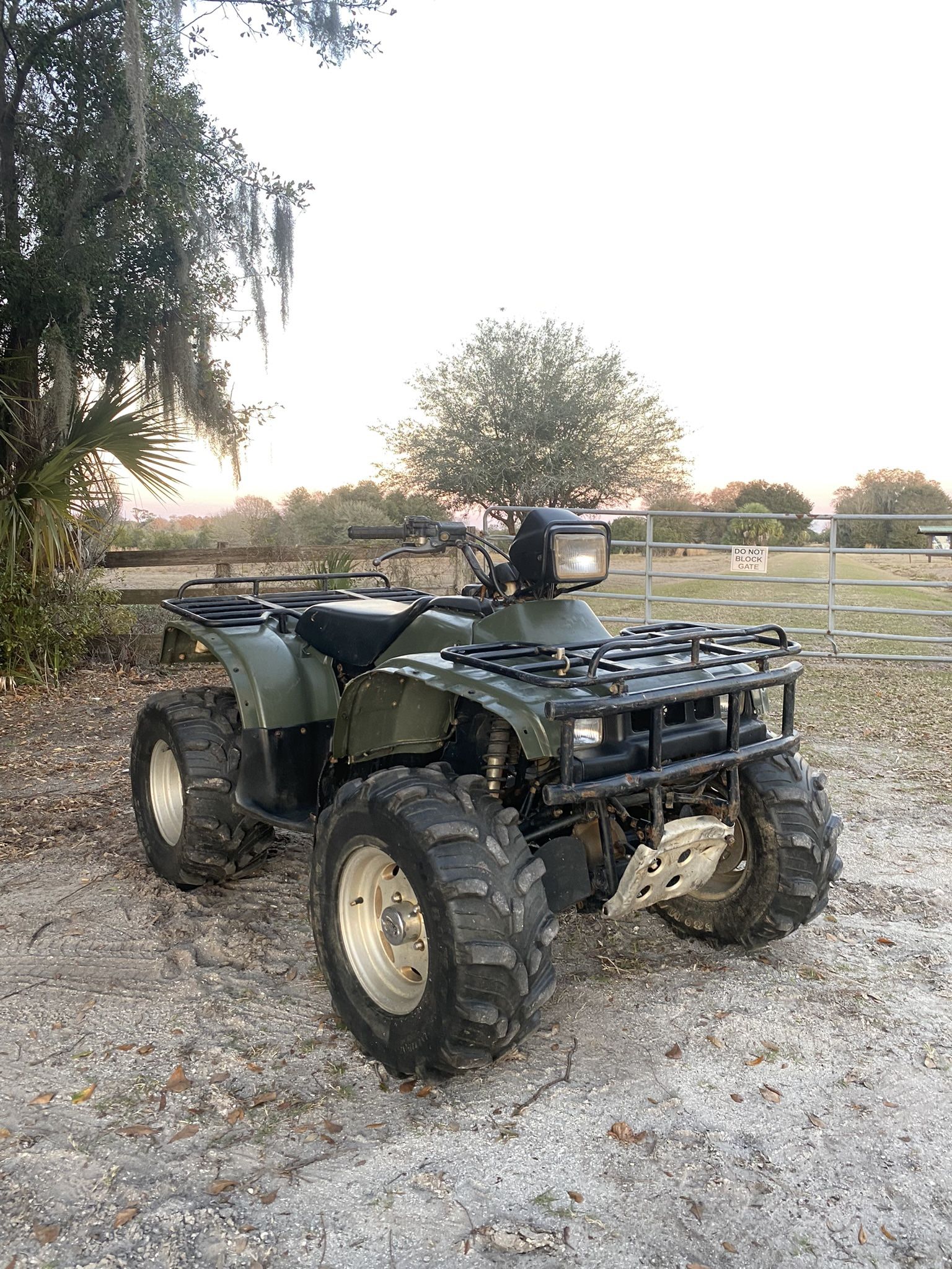 2000 Honda Foreman 450 for Sale in Lithia, FL - OfferUp