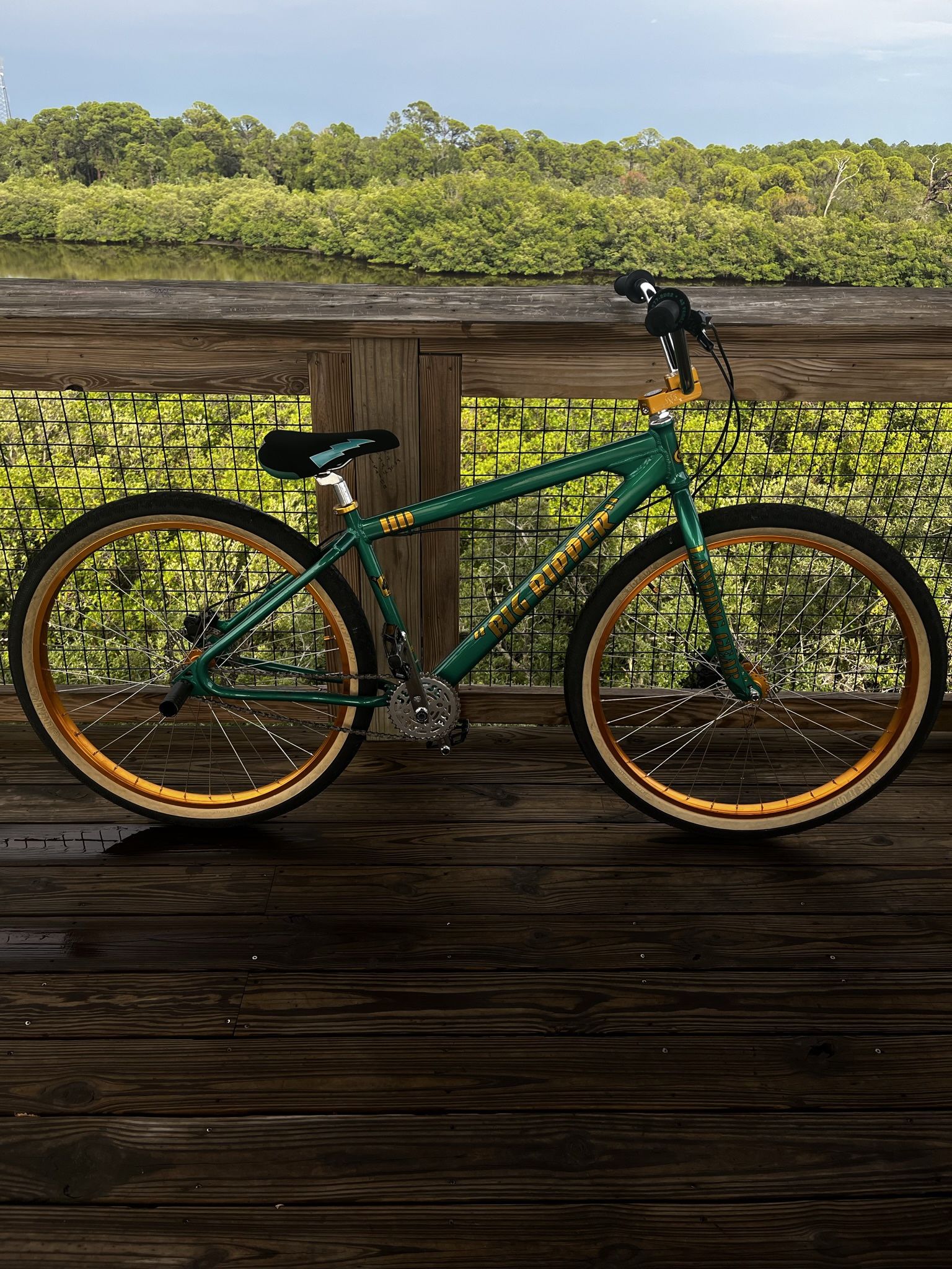 SE “Big Ripper” HD 29” High Def Green BMX Bike for Sale in Palm Harbor ...