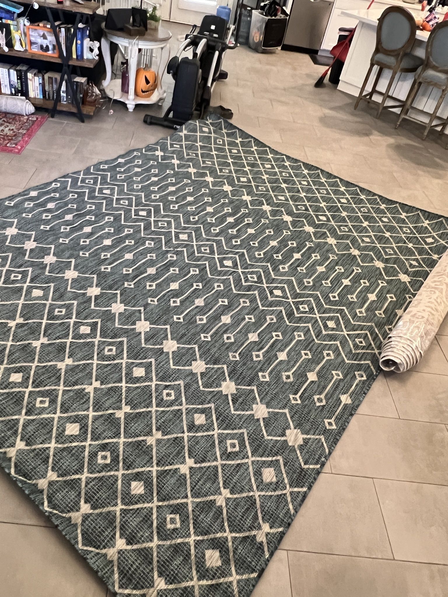 Almost New, Large Area Rug - Perfect for Home Staging, $100 - Delivery ...