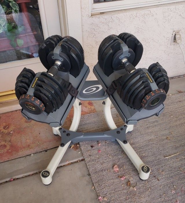 Heavy Duty Adjustable Dumbbells Set, Two Dumb Bells. With stand. for ...