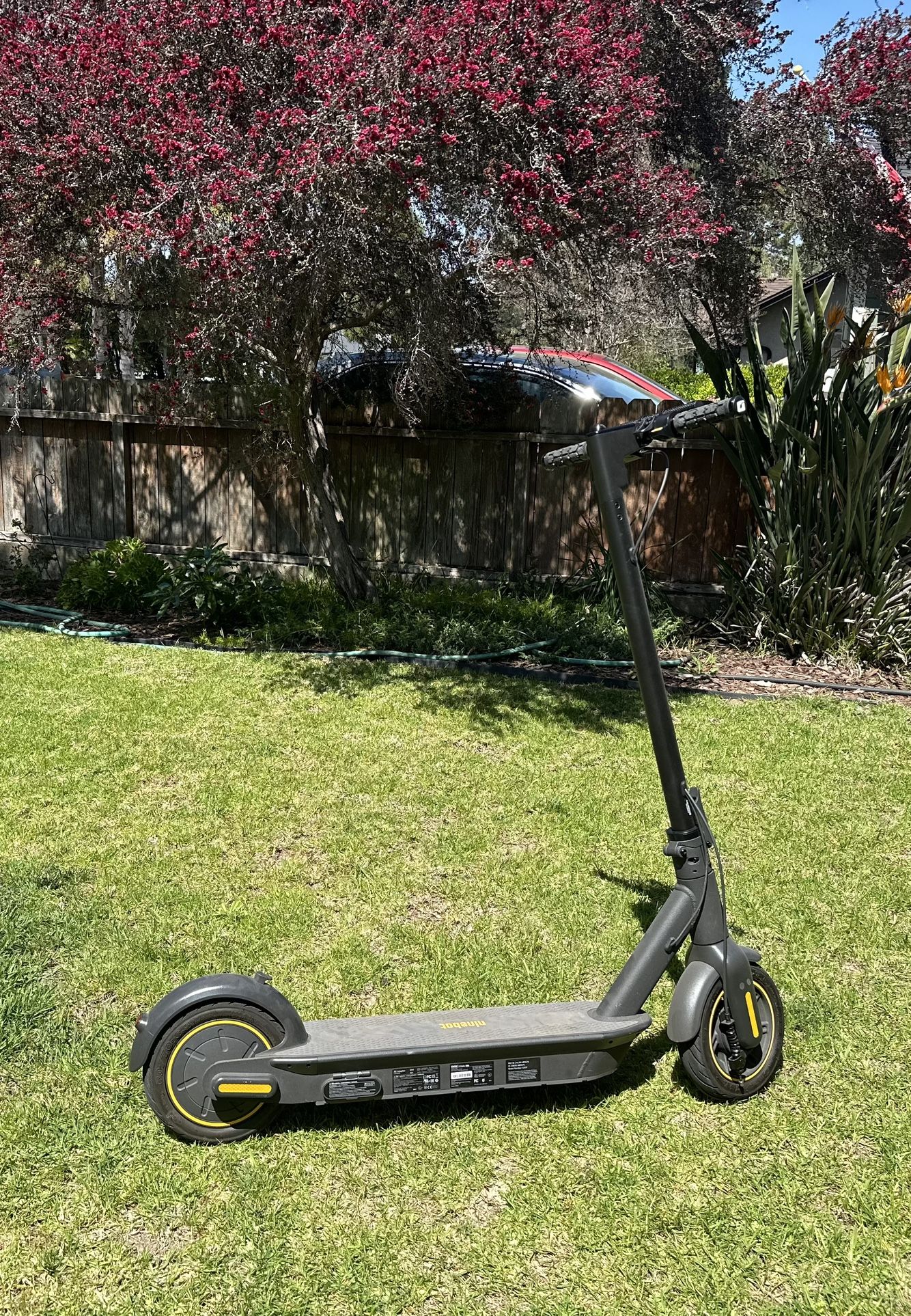 Segway Ninebot Max G30P for Sale in Rancho Palos Verdes, CA - OfferUp