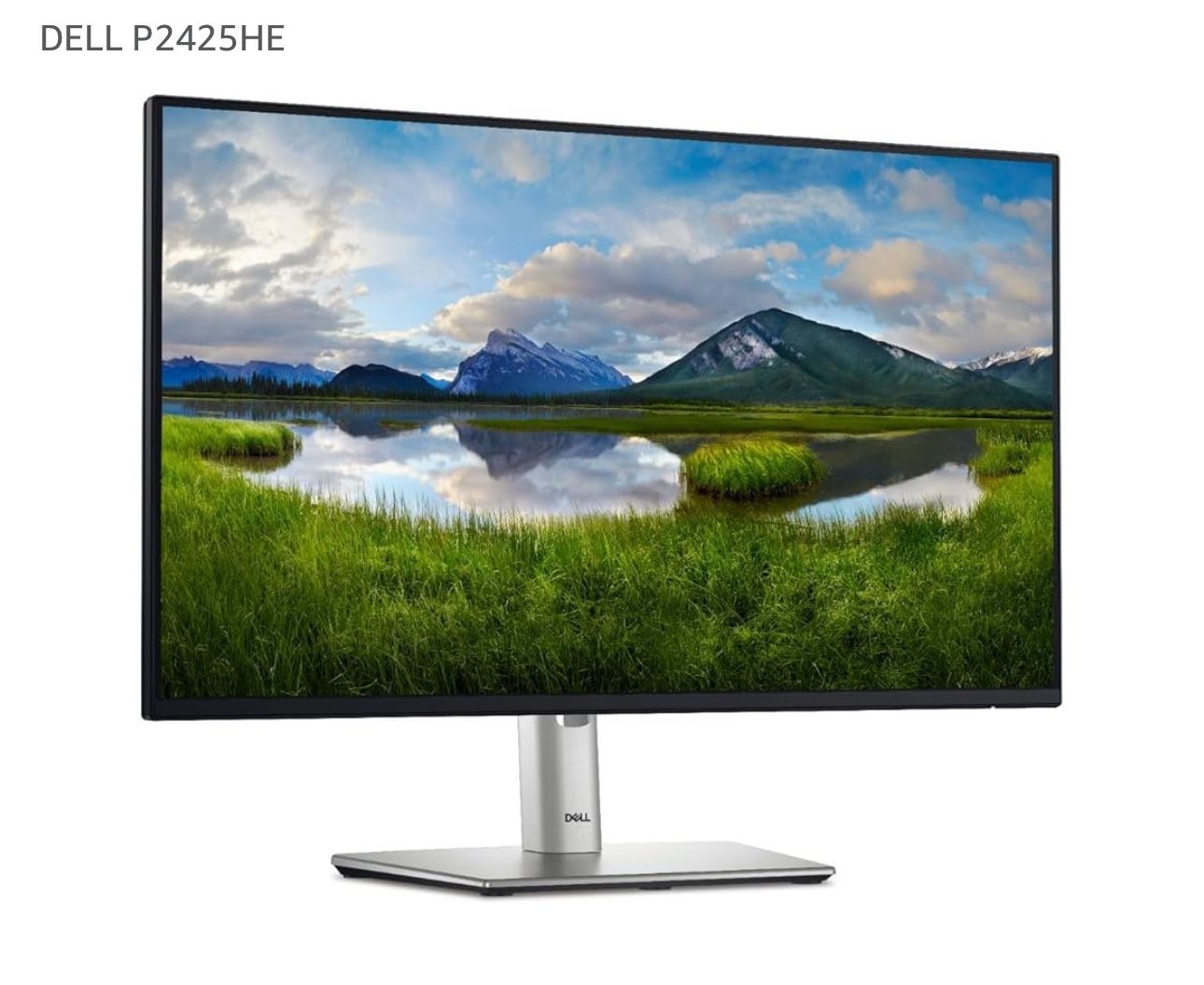 Dell Monitor P2425HE for Sale in Philadelphia, PA - OfferUp