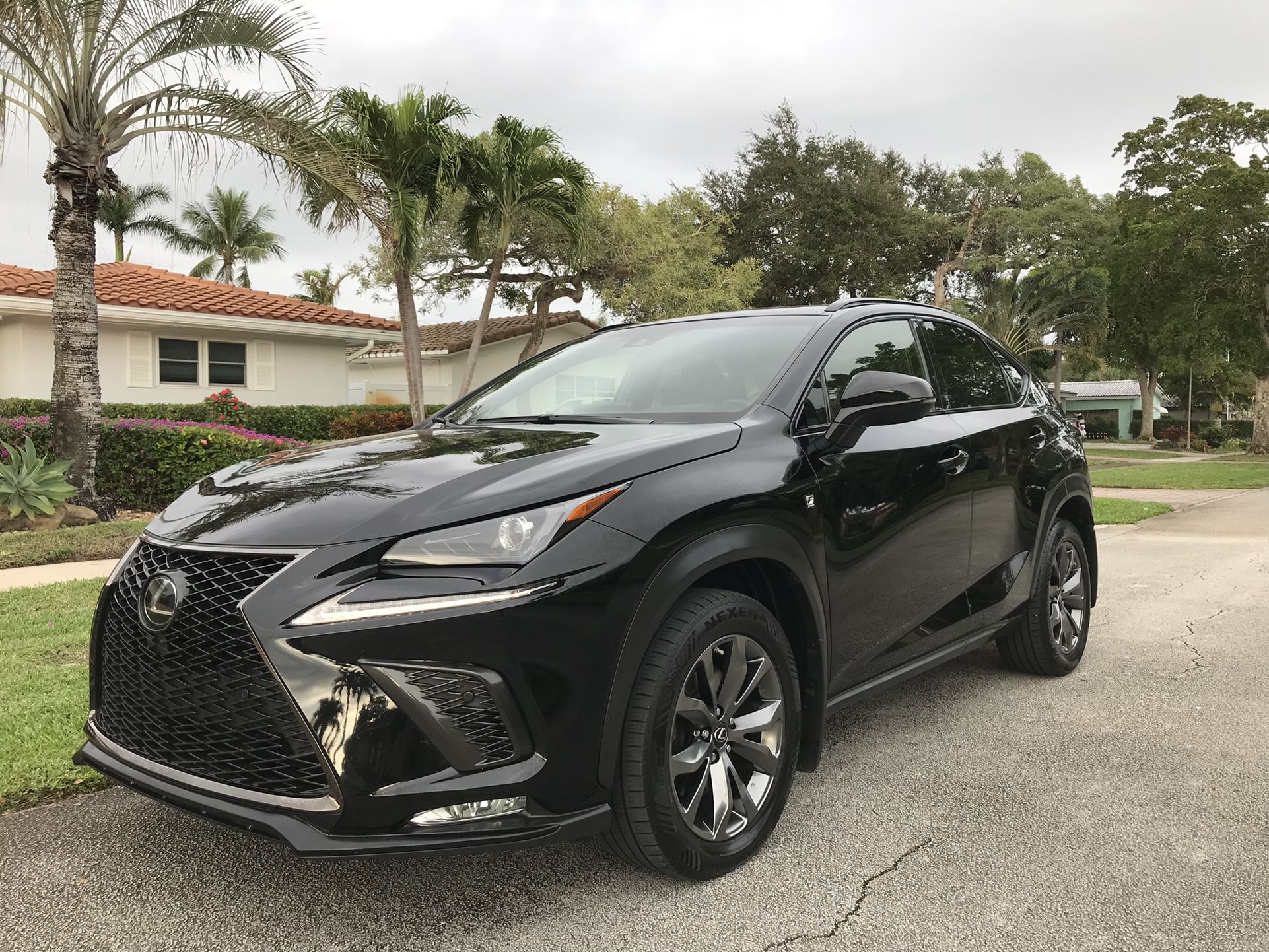 2019 Lexus NX 300 for Sale in Lake Clarke, FL - OfferUp
