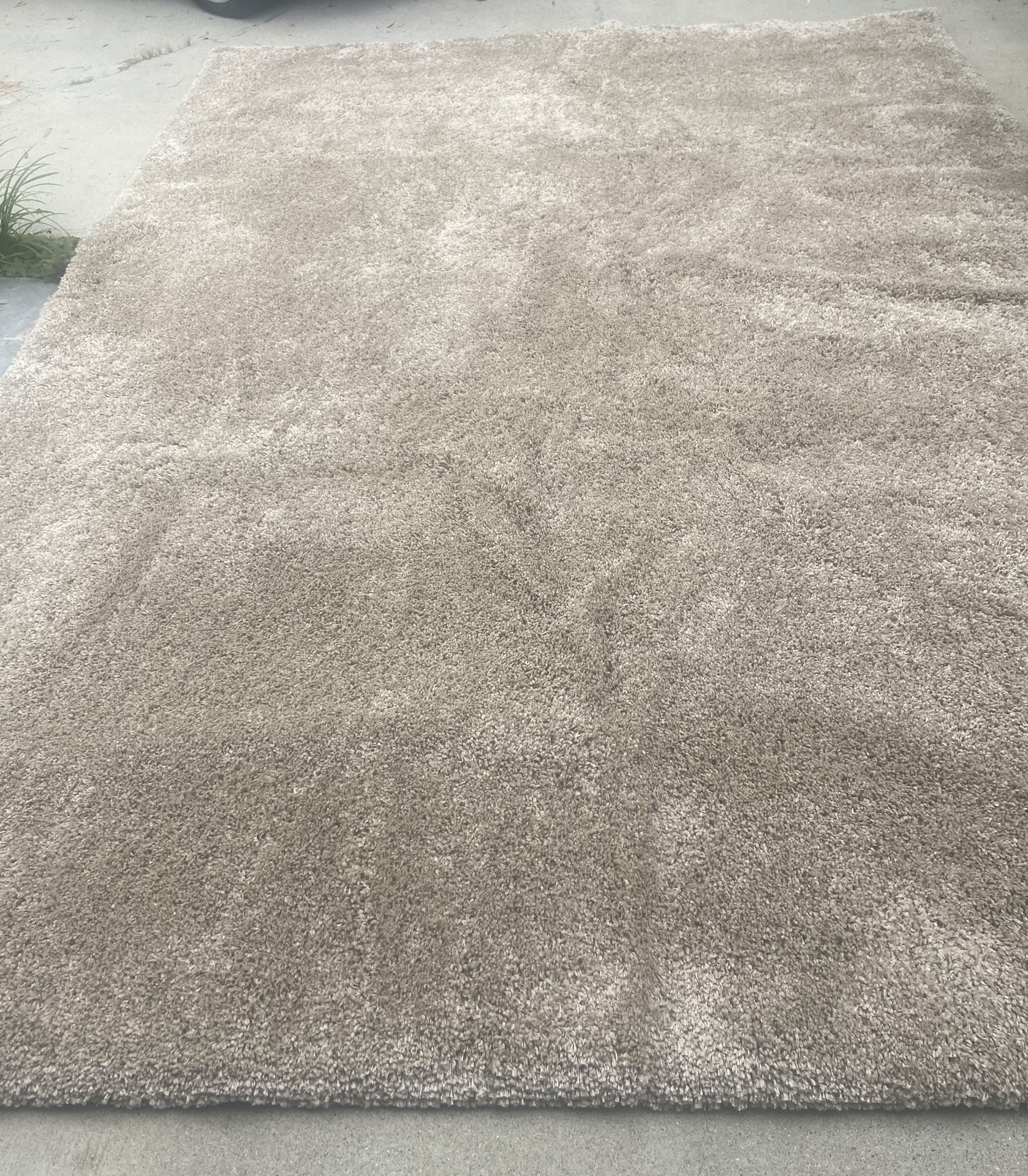 Thomasville Luxury Oatmeal Shag Area Rug :: 9’6” x 13’ 1” :: I for Sale ...