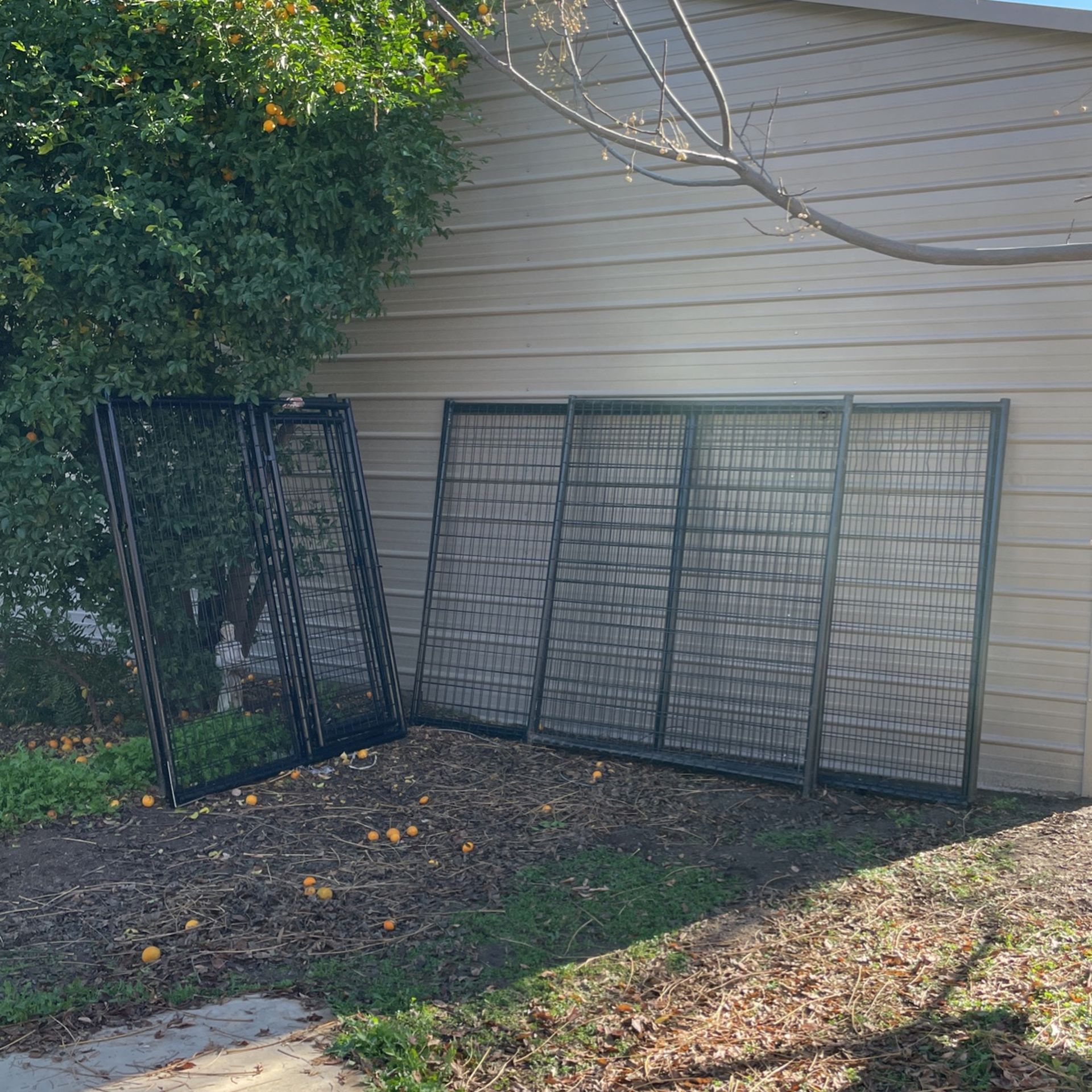 Dog Kennel Run For Sale In Lake Elsinore CA OfferUp dog-kennel-run-for-sale-in-lake-elsinore-ca-offerup