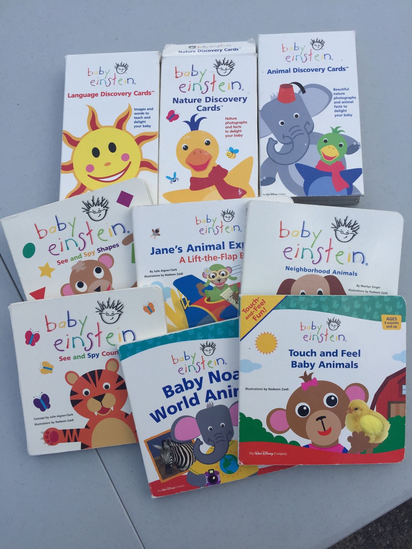 Baby Einstein Nature Discovery Cards