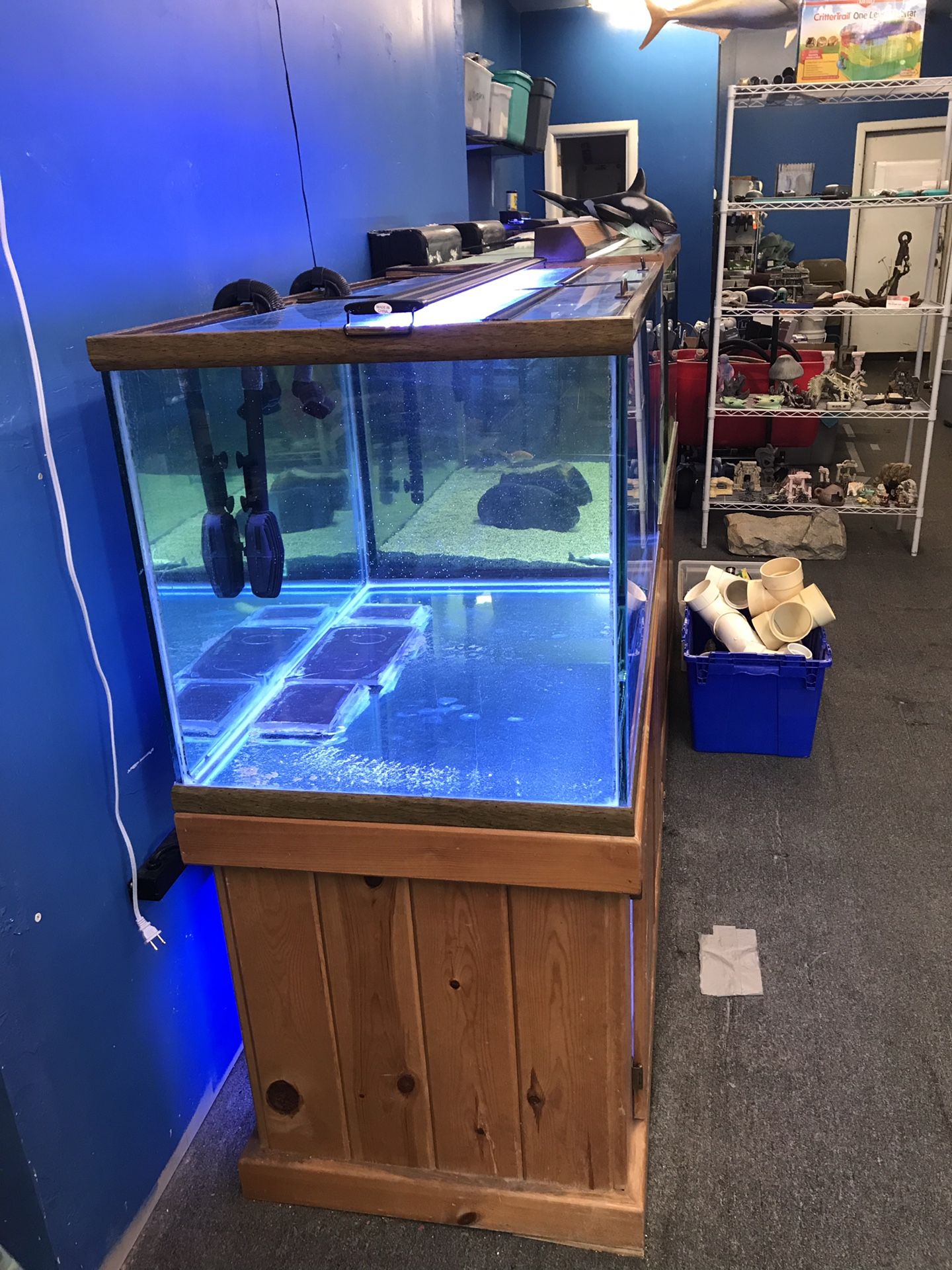 120 gallon Oceanic aquarium fish tank complete set up $800 for Sale in ...