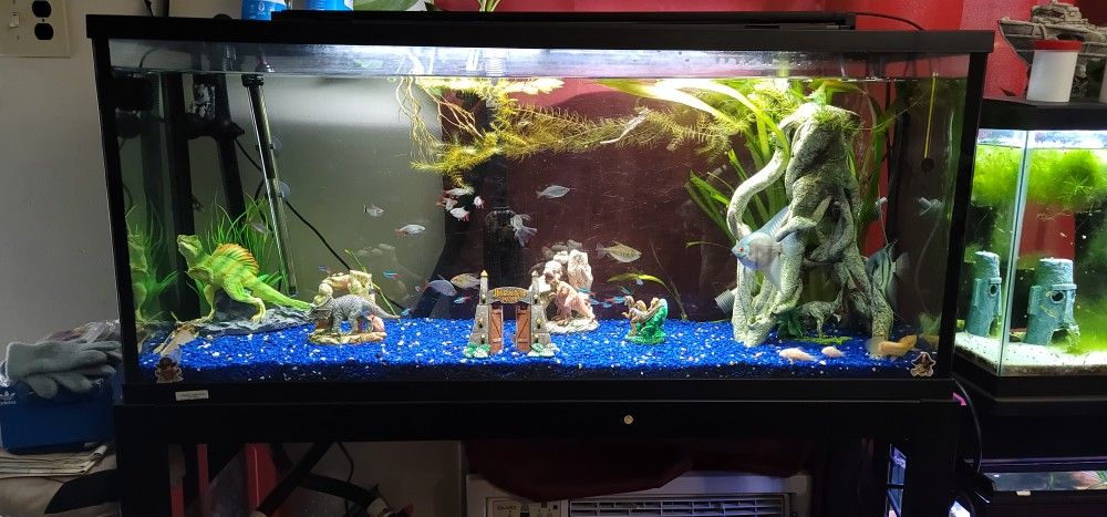 Free 55 Gallon Fish Tank Aquarium Pecera for Sale in Tustin, CA - OfferUp