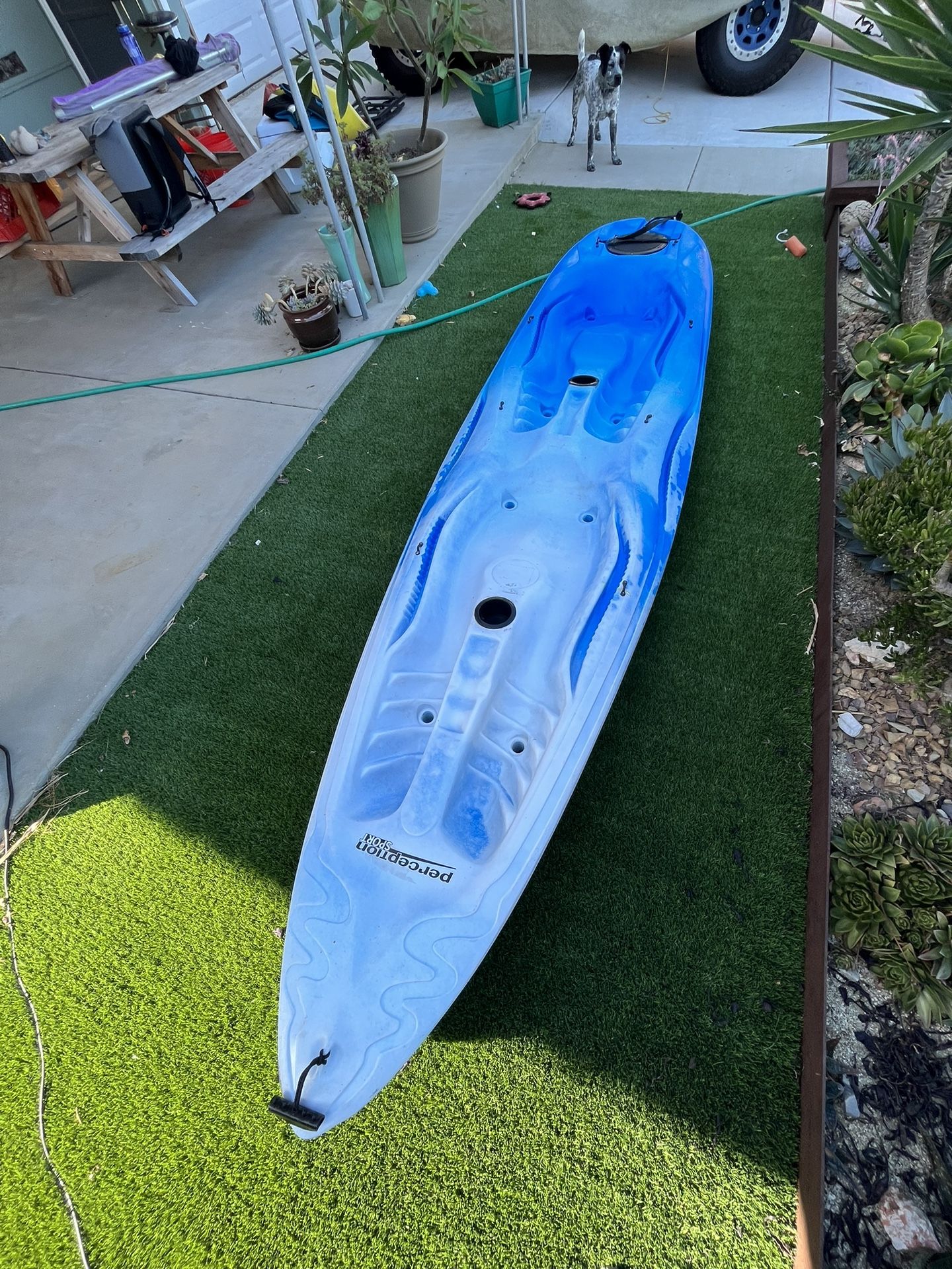 2 Seat Perception Sport for Sale in San Diego, CA - OfferUp