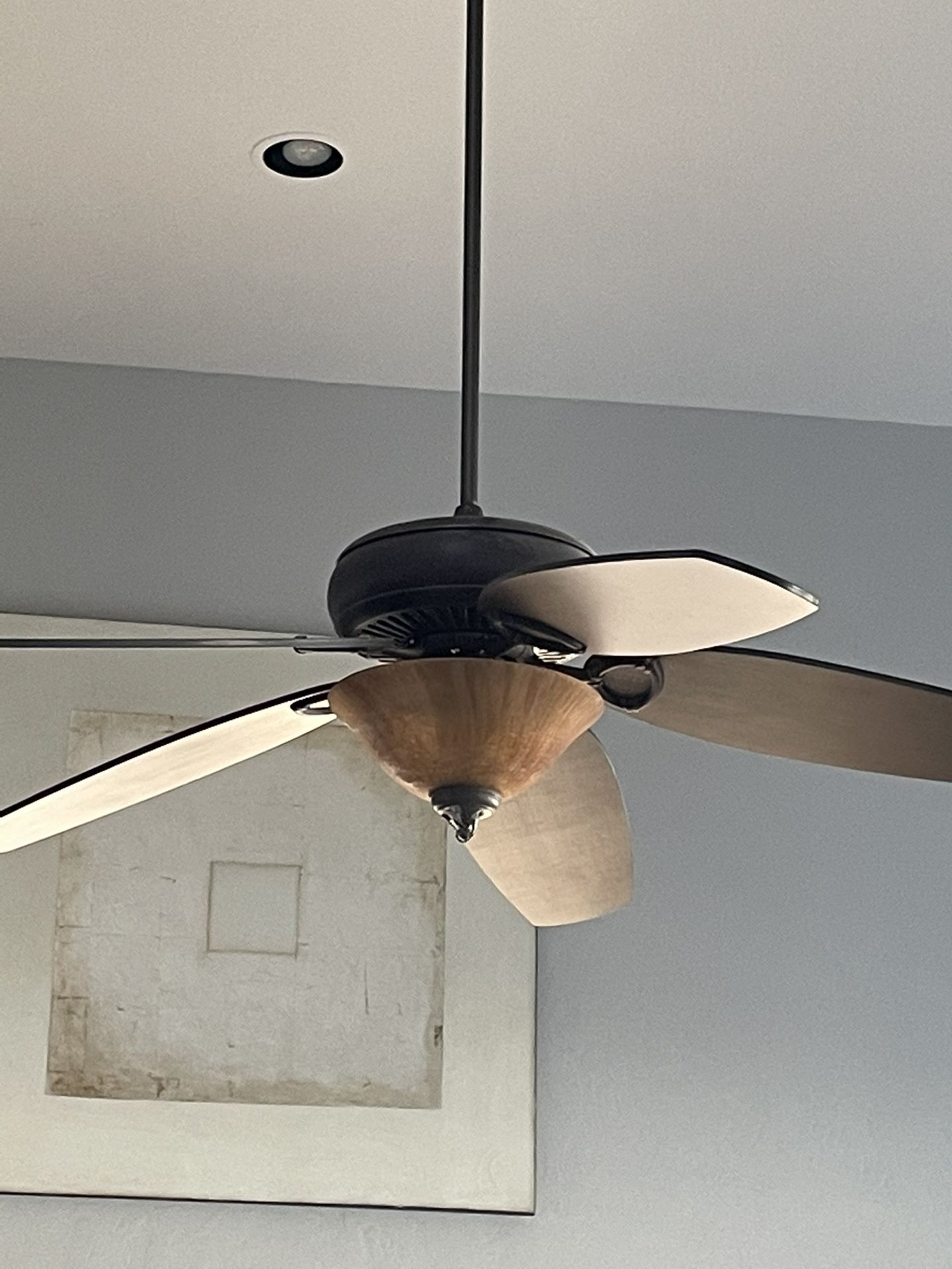 Concord Ceiling Fan Replacement Parts | Shelly Lighting