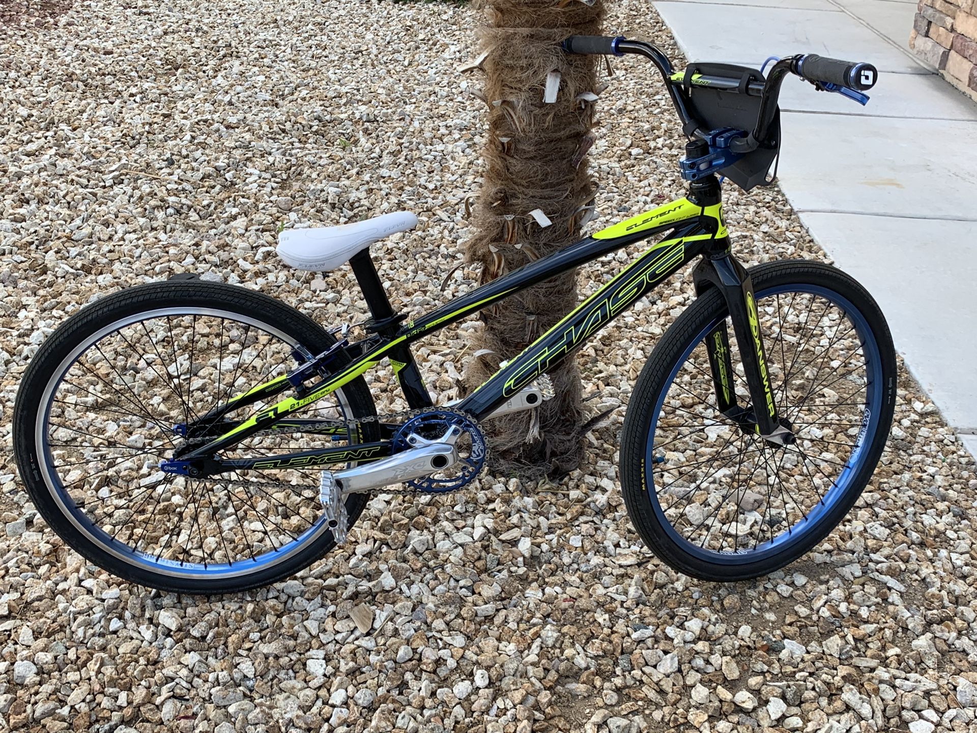 2019 chase Element pro cruiser for Sale in Las Vegas, NV - OfferUp