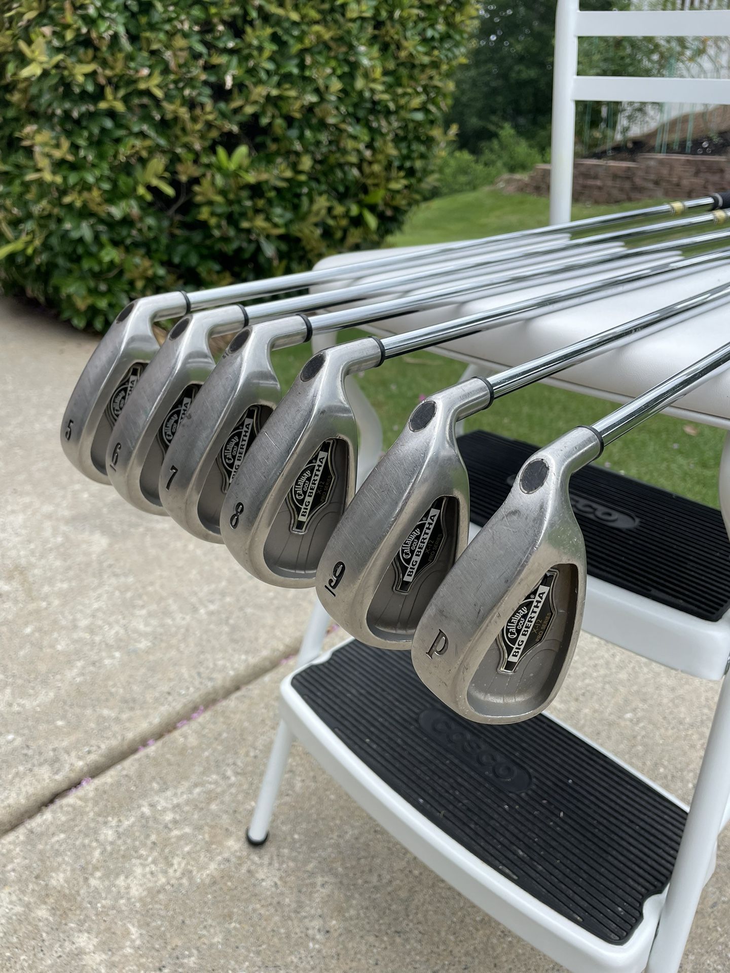 Callaway Big Bertha X12 Pro Series Irons 5 Thru PW for Sale in ...