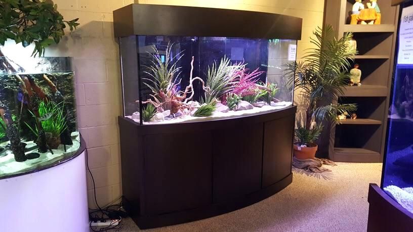 100 Gallon Fish Tank Dimensions