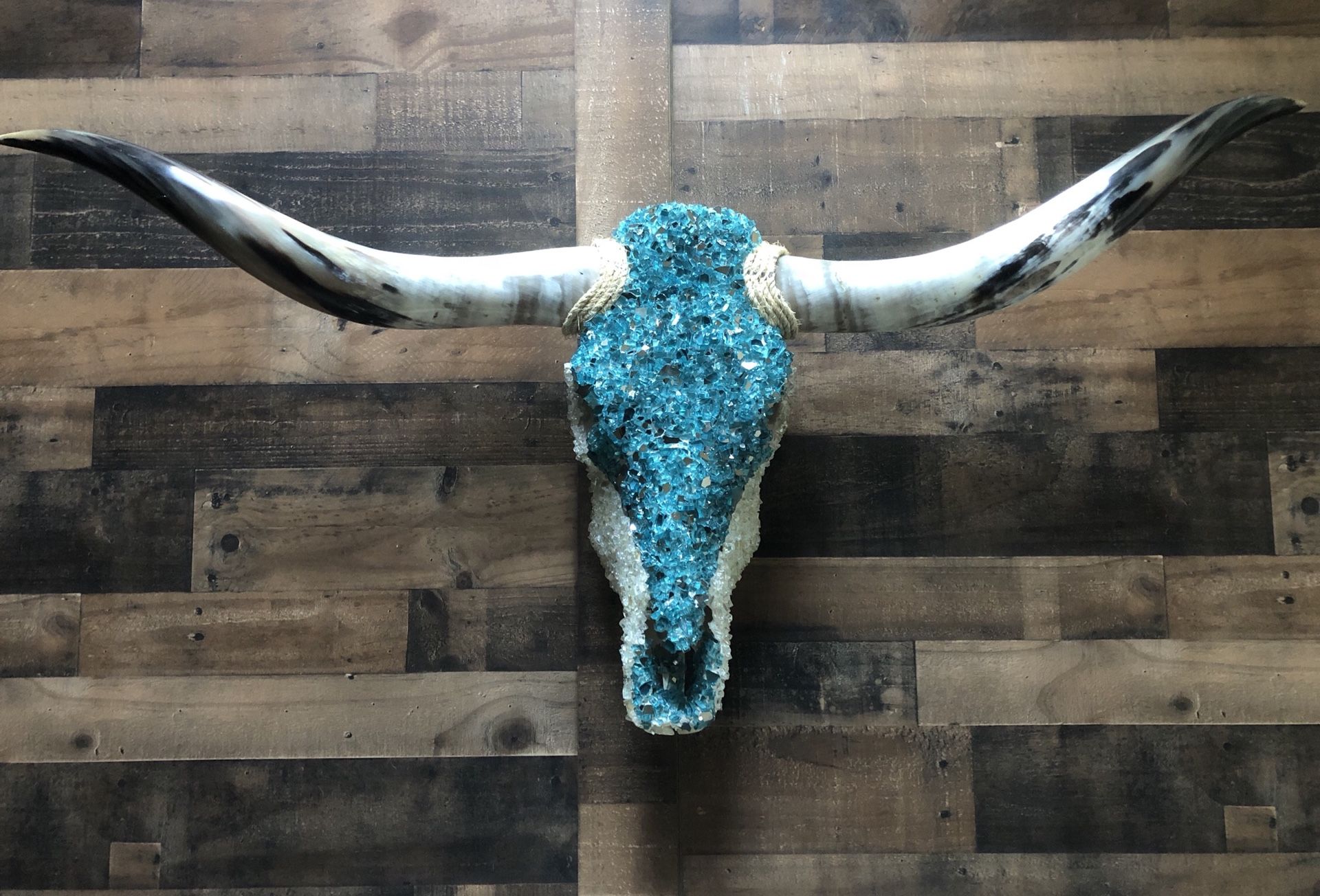 Bull Skull With Horns For Sale