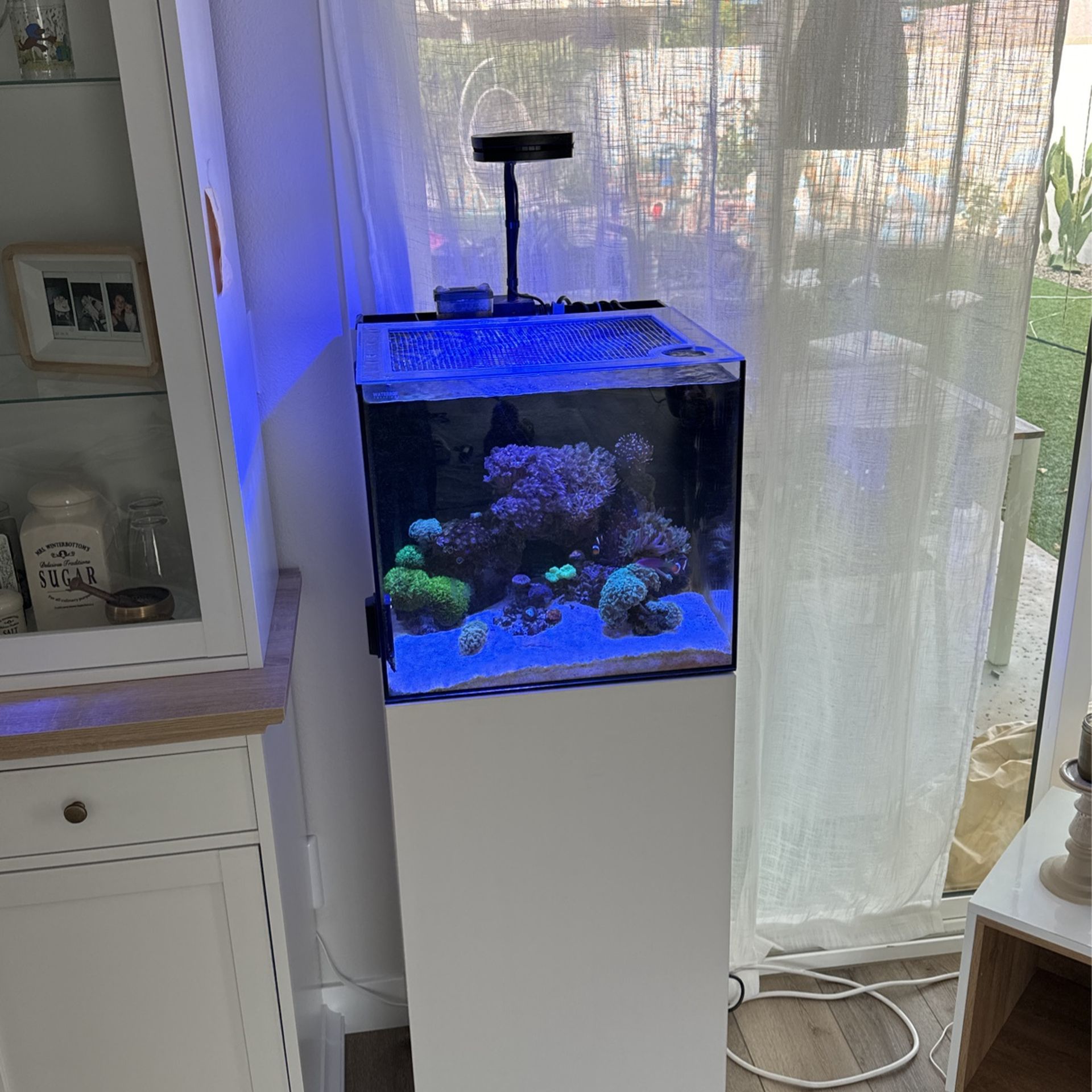 Waterbox Cube 20gal for Sale in Litchfield Park, AZ - OfferUp