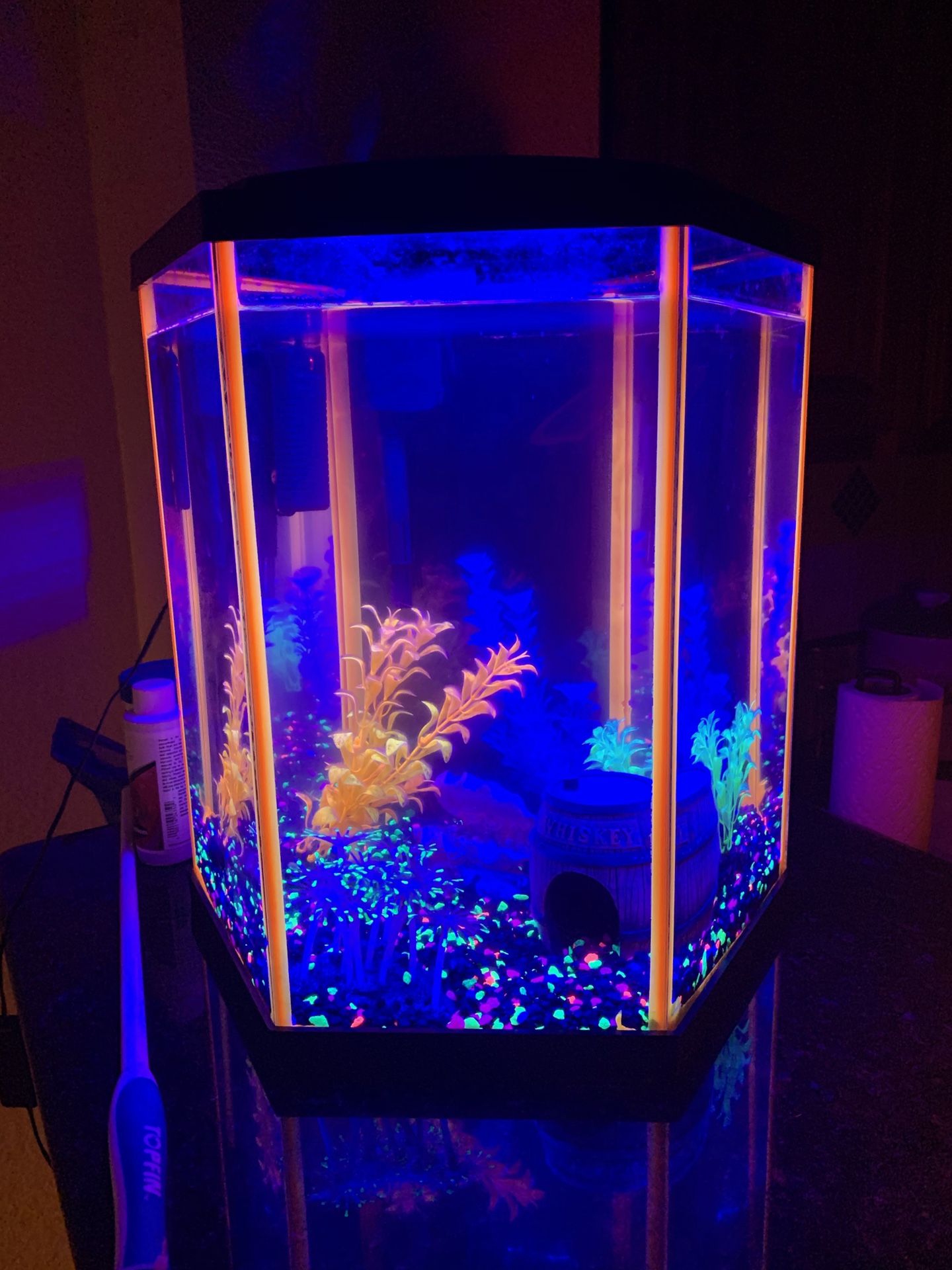 Beautiful 8 gal Glo fish tank for Sale in Folsom, CA - OfferUp