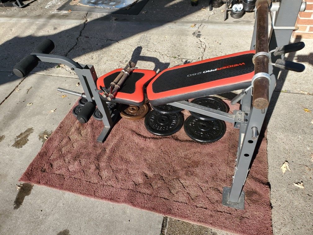 WEIDER PRO 220 WITH 1"HOLE 156LBs. 2-DUMBBELL HANDLES AND 4' STRAIGHT ...